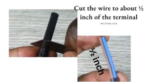 How To Wire A 3 Prong Plug With 2 Wires (5-steps Guide) » Weld Faqs